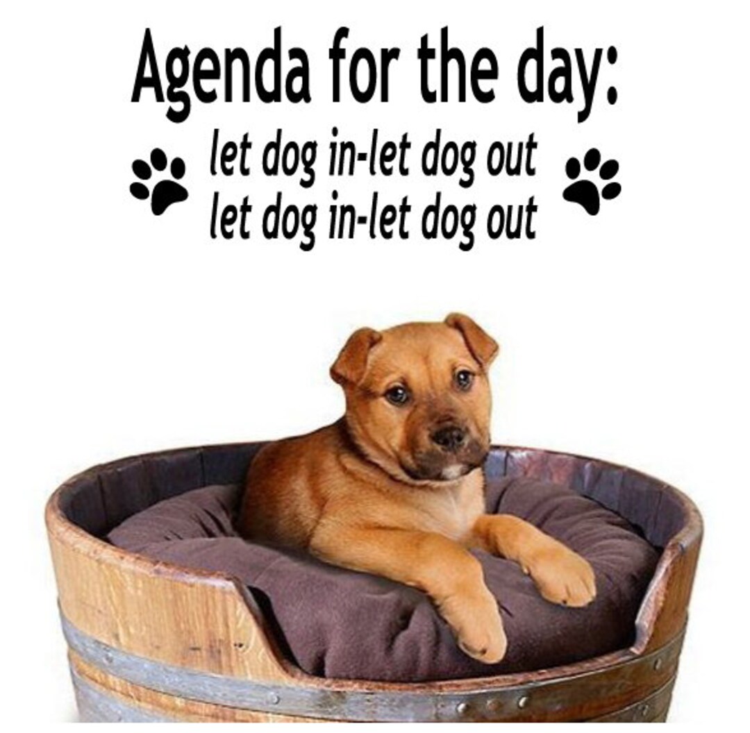 Agenda for the Day: Let Dog In-let Dog Out Cute Wall Decal for Dogs ...