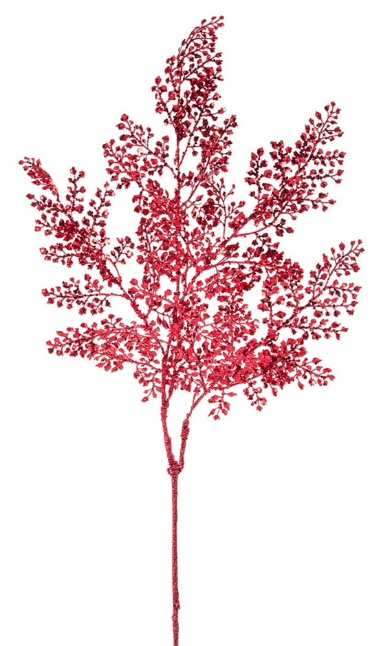 Red Fern Tree