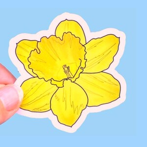 Daffodil Sticker, Waterproof Vinyl Decal, Laptop Sticker, Water Bottle ...