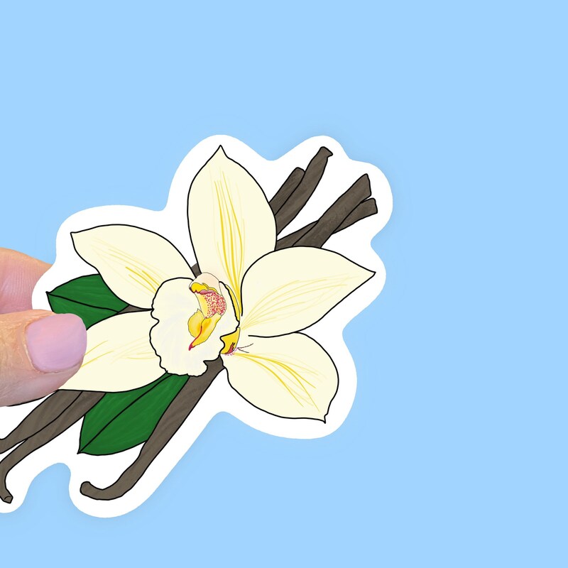 Vanilla Labels - Etsy