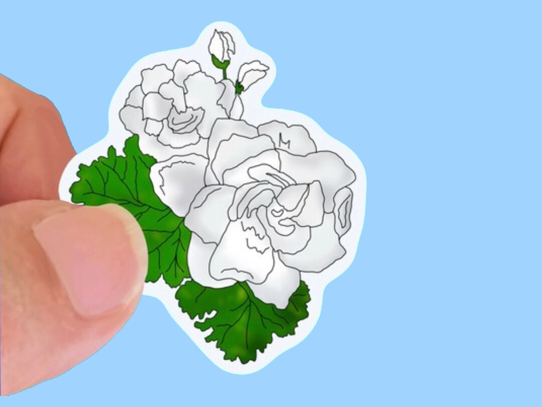 Gardenia Sticker, Waterproof Vinyl Decal, Laptop Sticker, Water Bottle ...