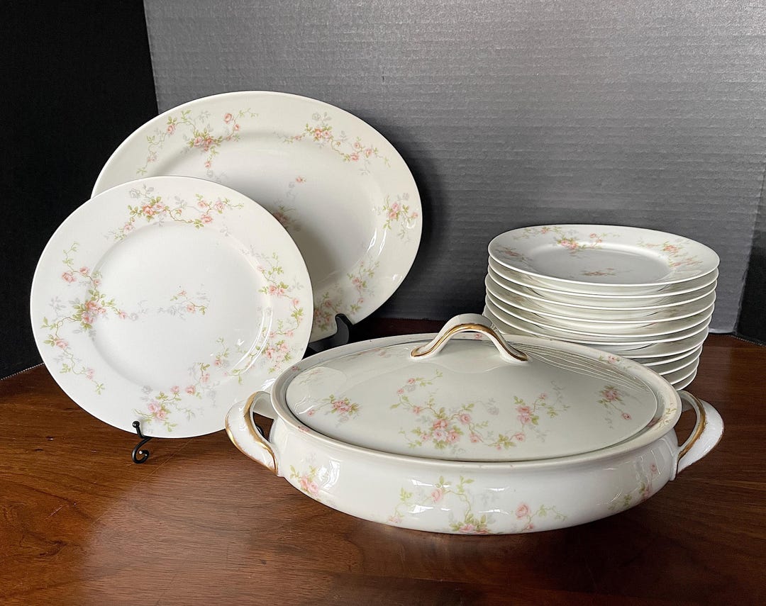 1958-disc. Theodore Haviland, Limoges, France, pink Spray Smooth Edges ...