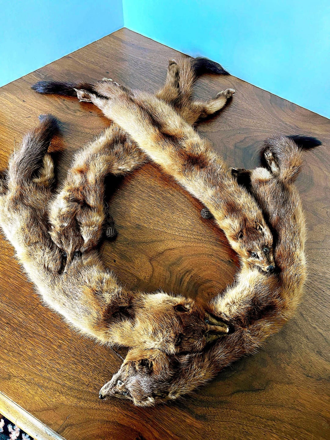 1930's-1950's Full Body 4 Mink Stole W Plastic Eyes Lucite Chain ...