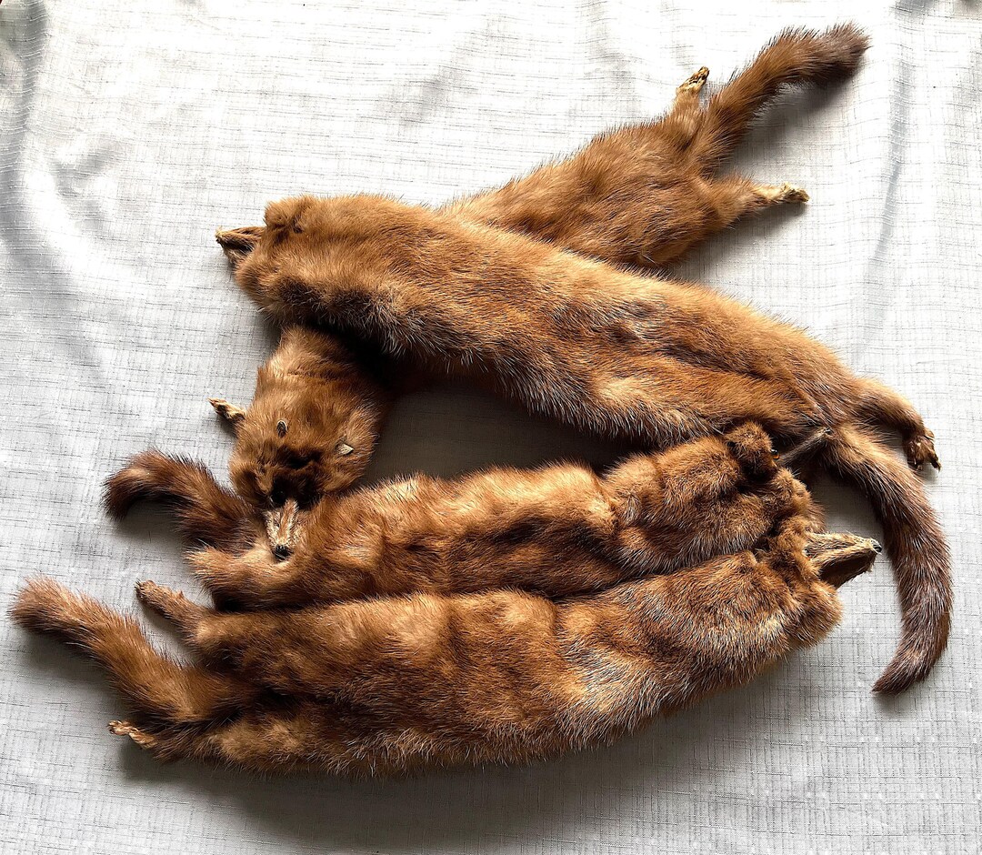 1940's-1950's 4 Full Pelt Mink Wrap/stole, Heads Feet Tails, Excellent ...
