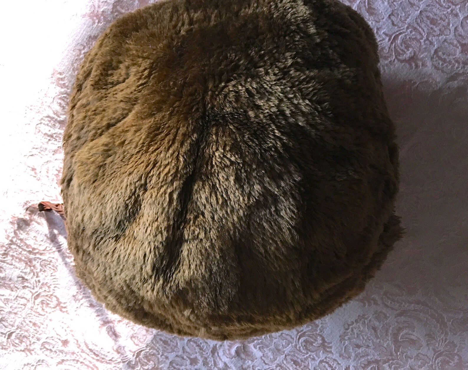 20's-30's Brown Trimmed Genuine Beaver Fur Round | Etsy