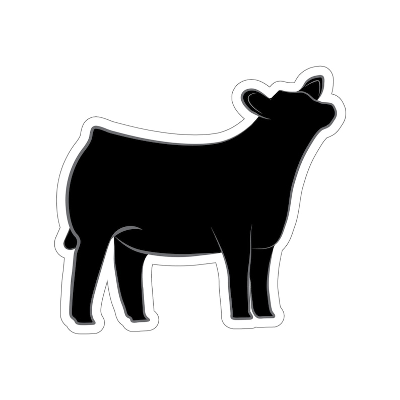 Angus Show Heifer Die-cut Sticker | Livestock Decal for Show Cattle ...