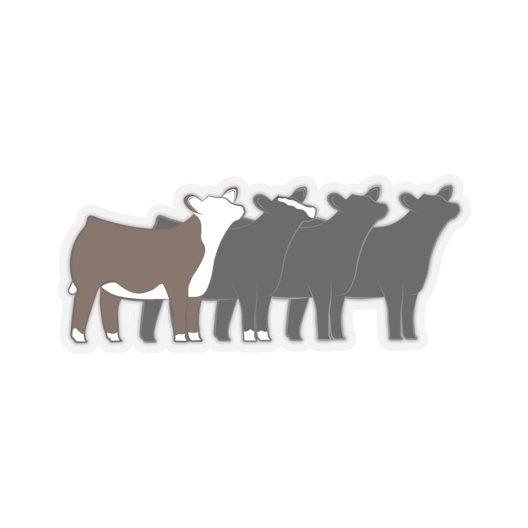 Show Heifer Multi-breed Die Cut Sticker: Cattle Decal - Etsy