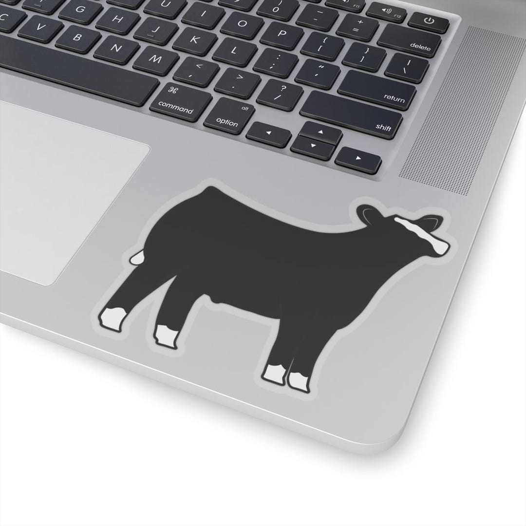 Black and White Show Steer Sticker: Livestock Vinyl Decal - Etsy