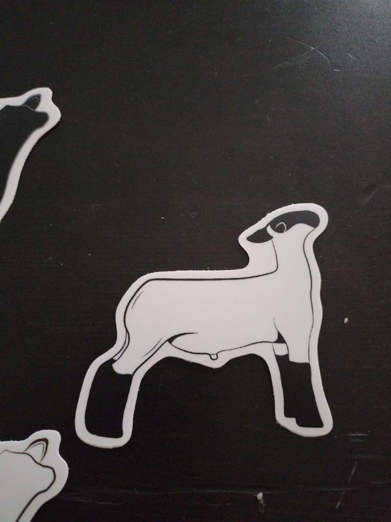 Show Lamb Die-cut Sticker: Livestock Vinyl Decal - Etsy
