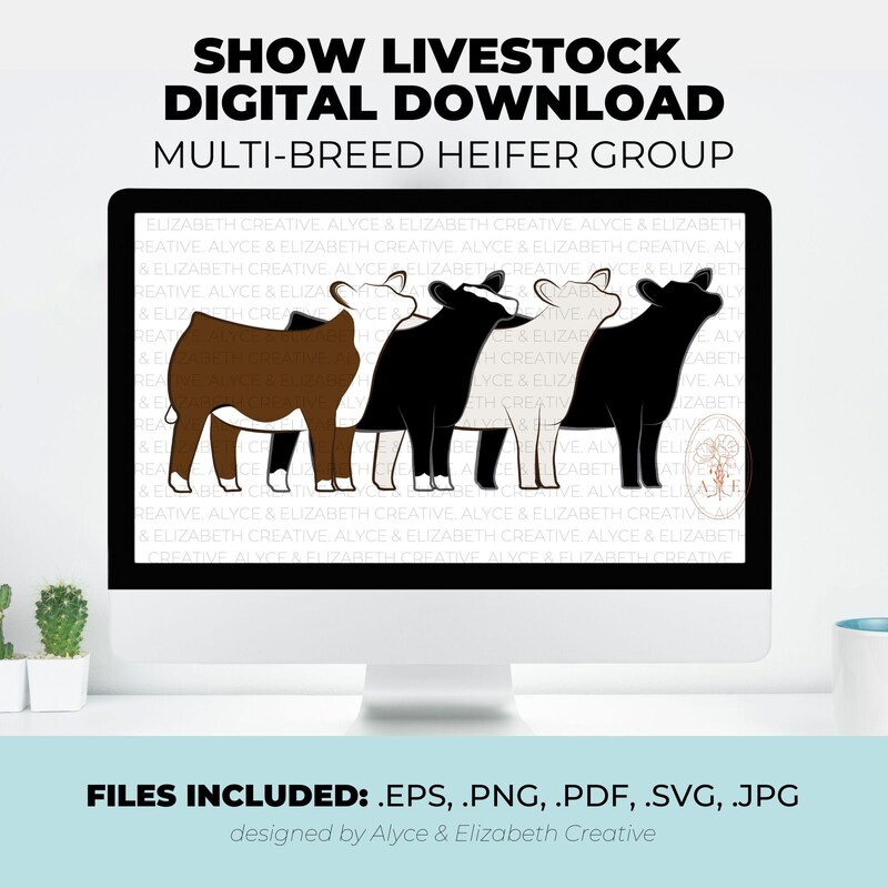 Show Heifer - Etsy