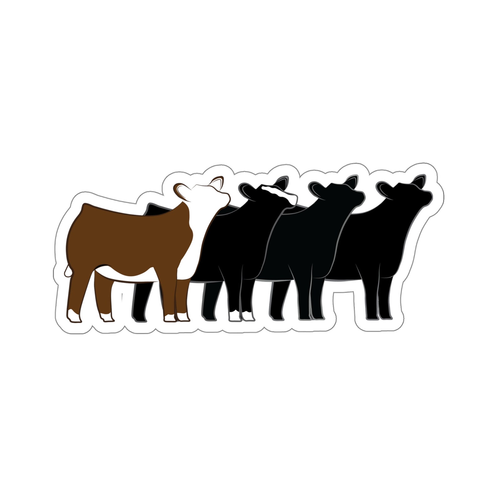 Show Heifer Multi-breed Die Cut Sticker: Cattle Decal - Etsy