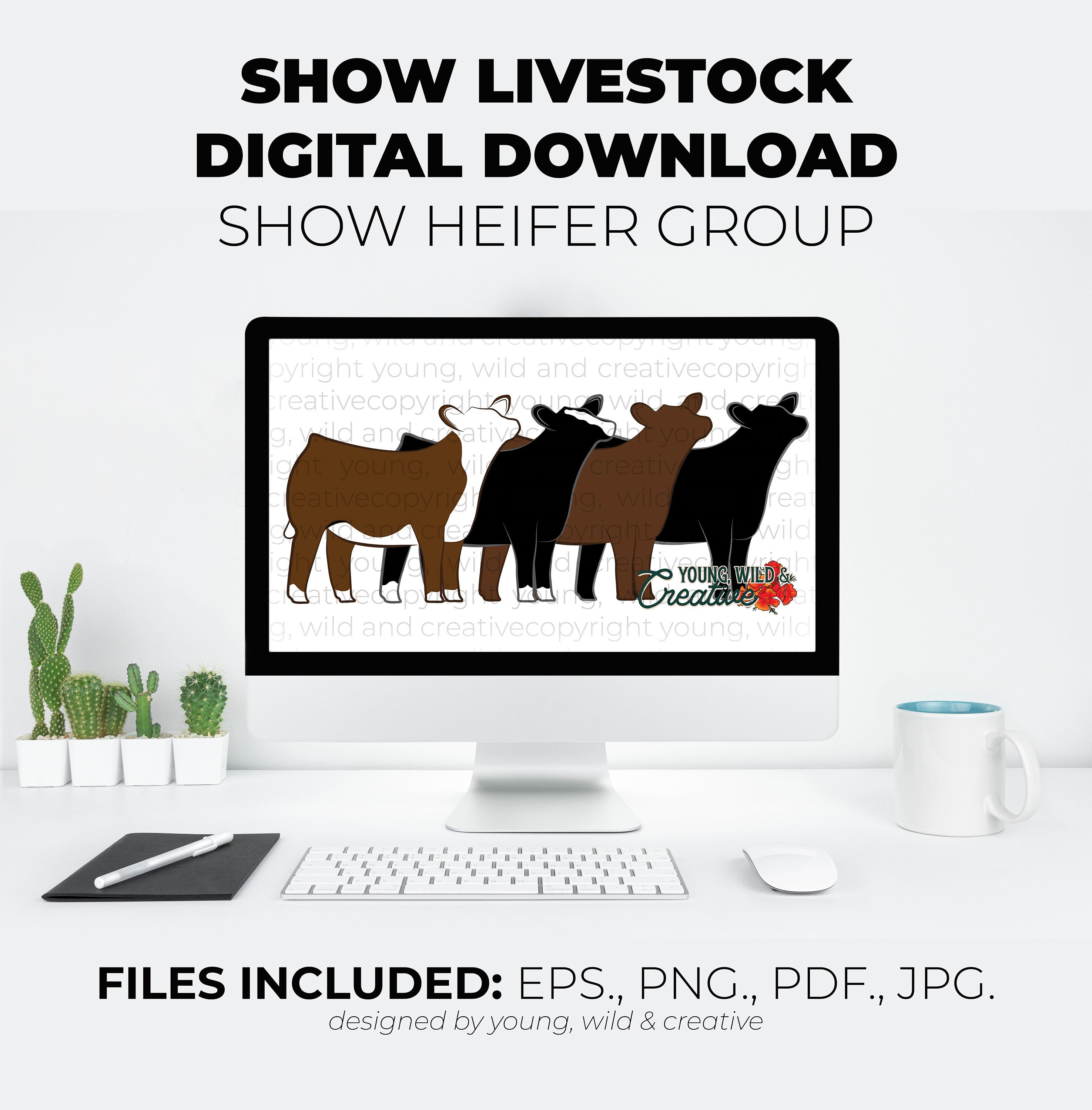 Show Heifer Embroidery Design: Livestock Angus Hereford File (digital ...
