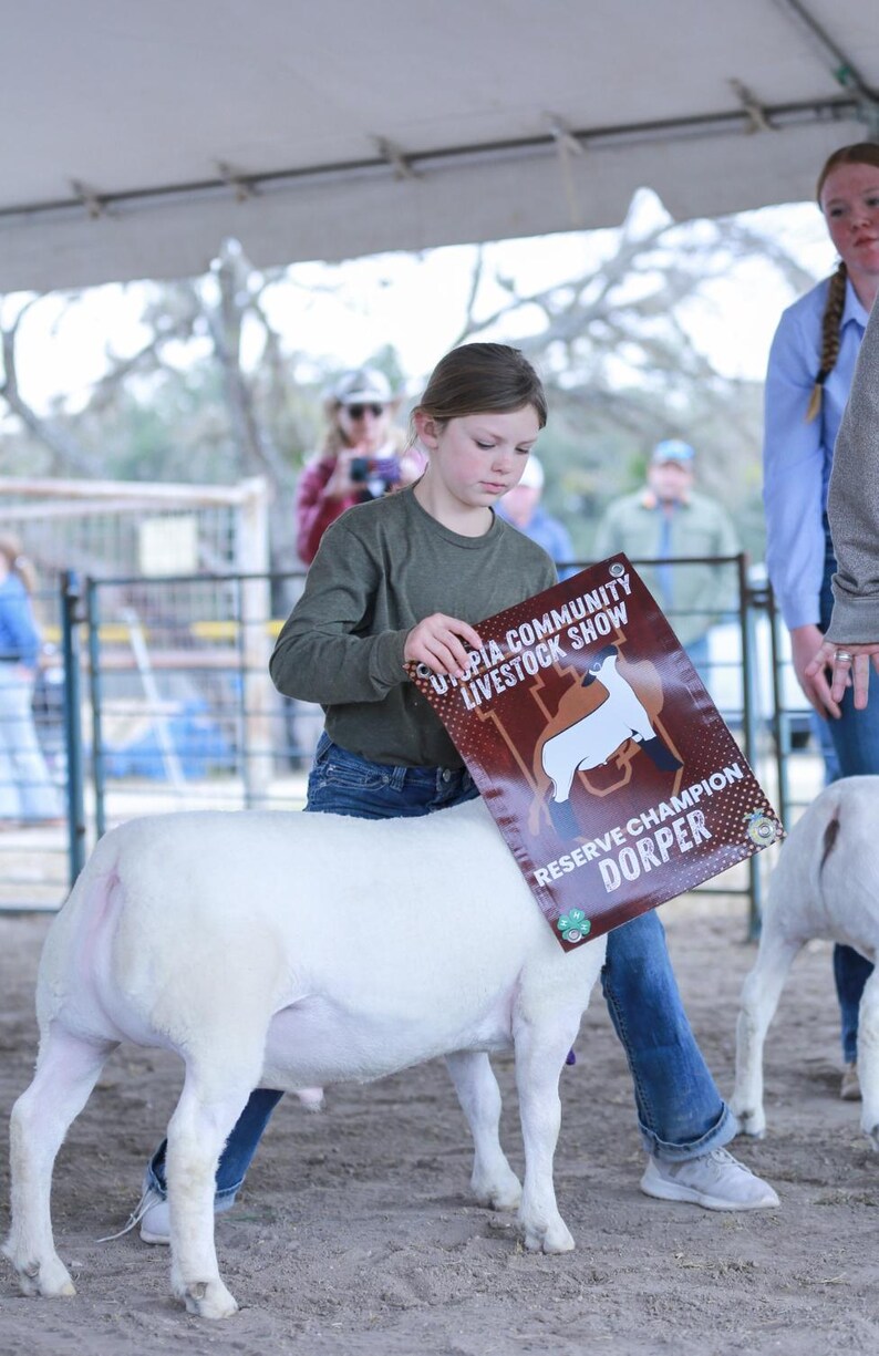 Editable Goat Show Banner Canva Template | Youth Livestock Champion ...