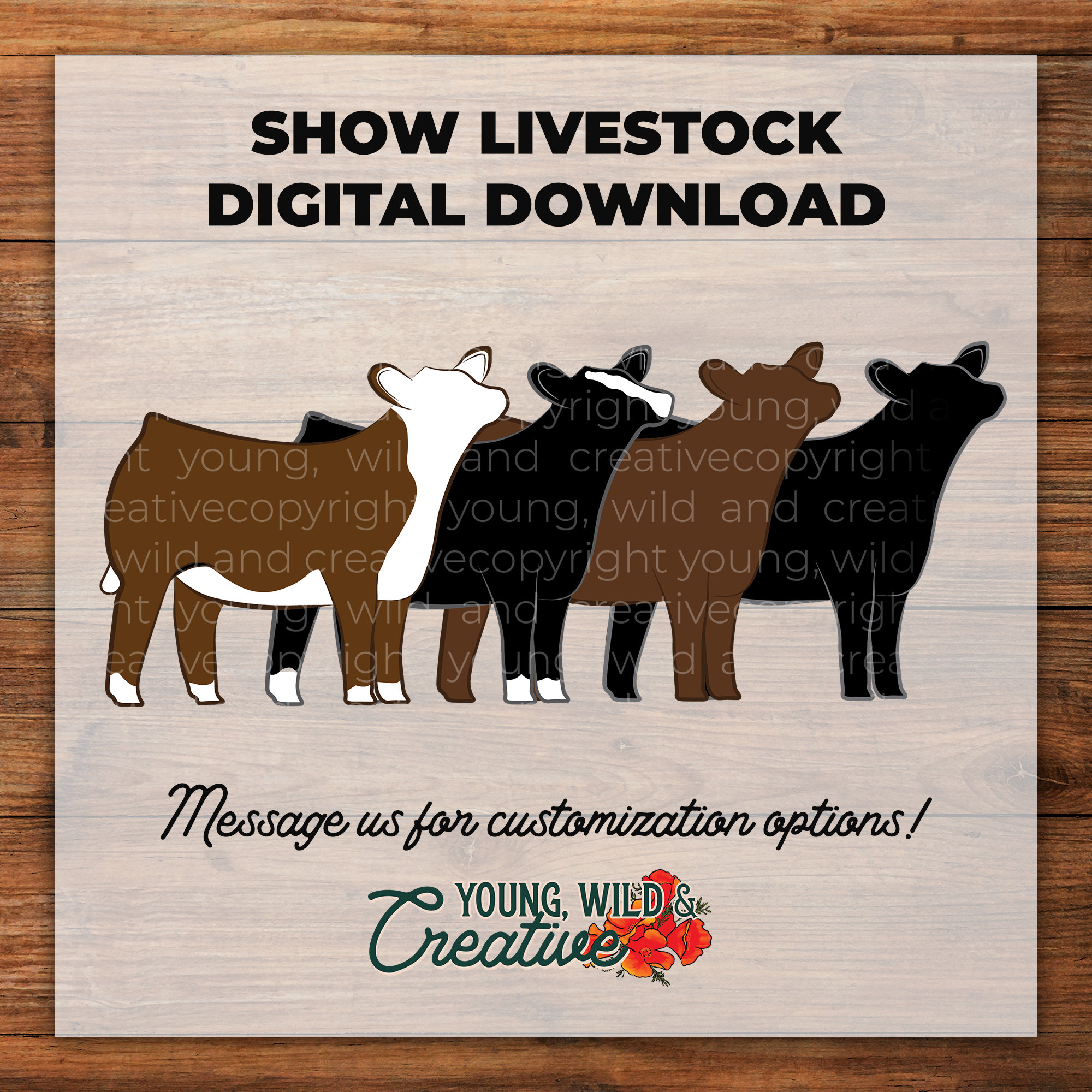 Show Heifer Digital Download Livestock Digital Download Show Livestock ...