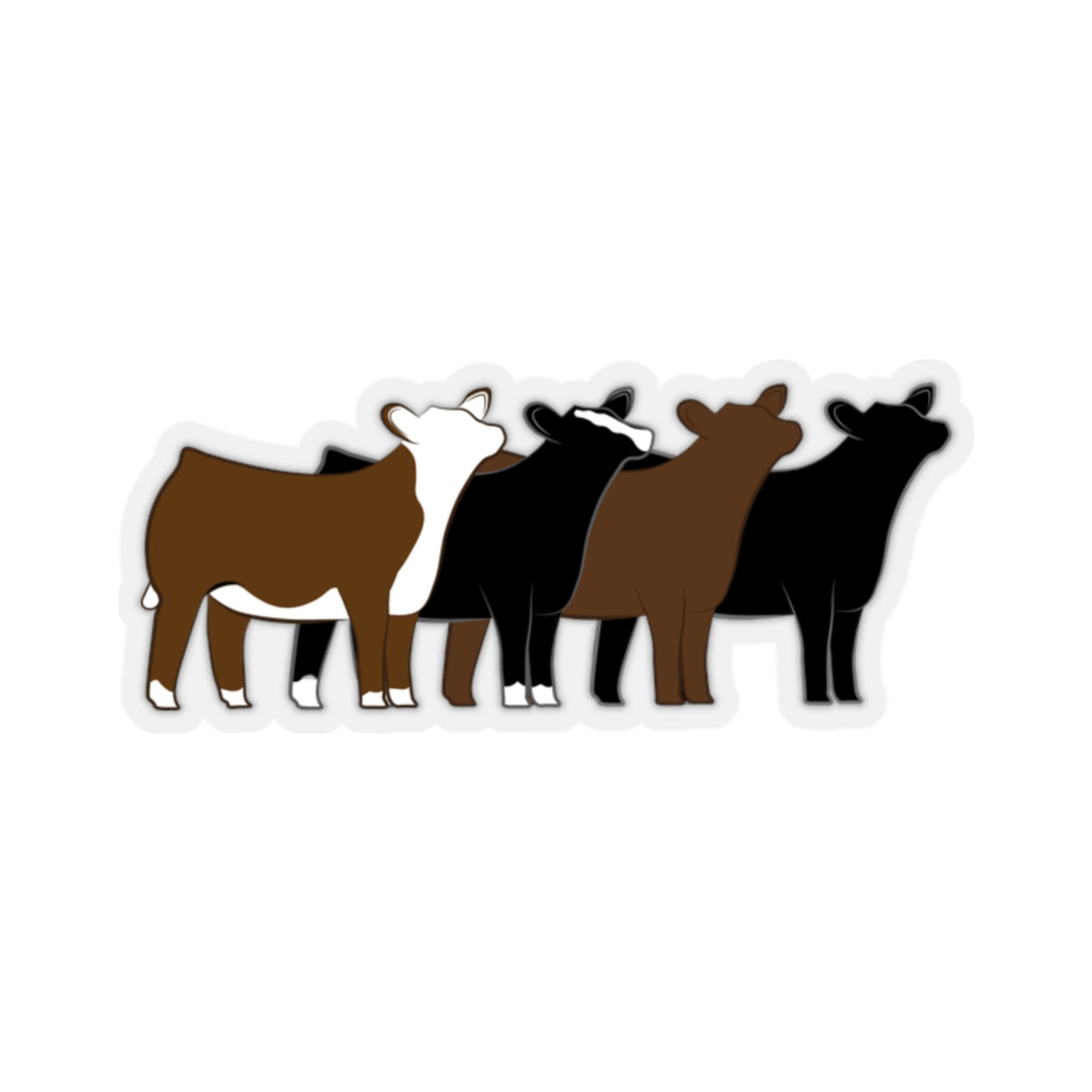 Show Steer Decal