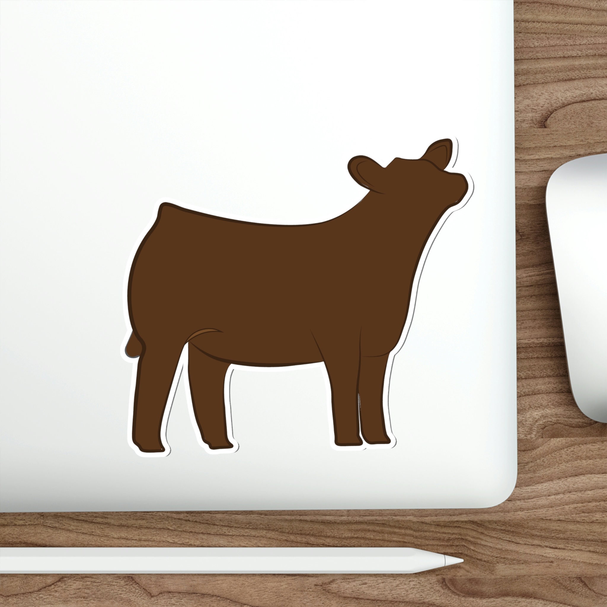 Red Angus Show Heifer Die-cut Sticker | Livestock Sticker | Show ...