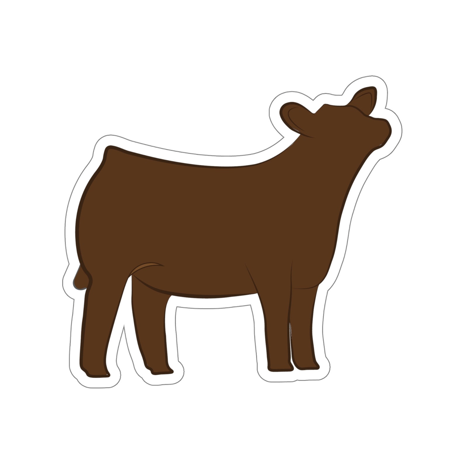 Red Angus Show Heifer Sticker: Matte Vinyl Livestock Decal - Etsy