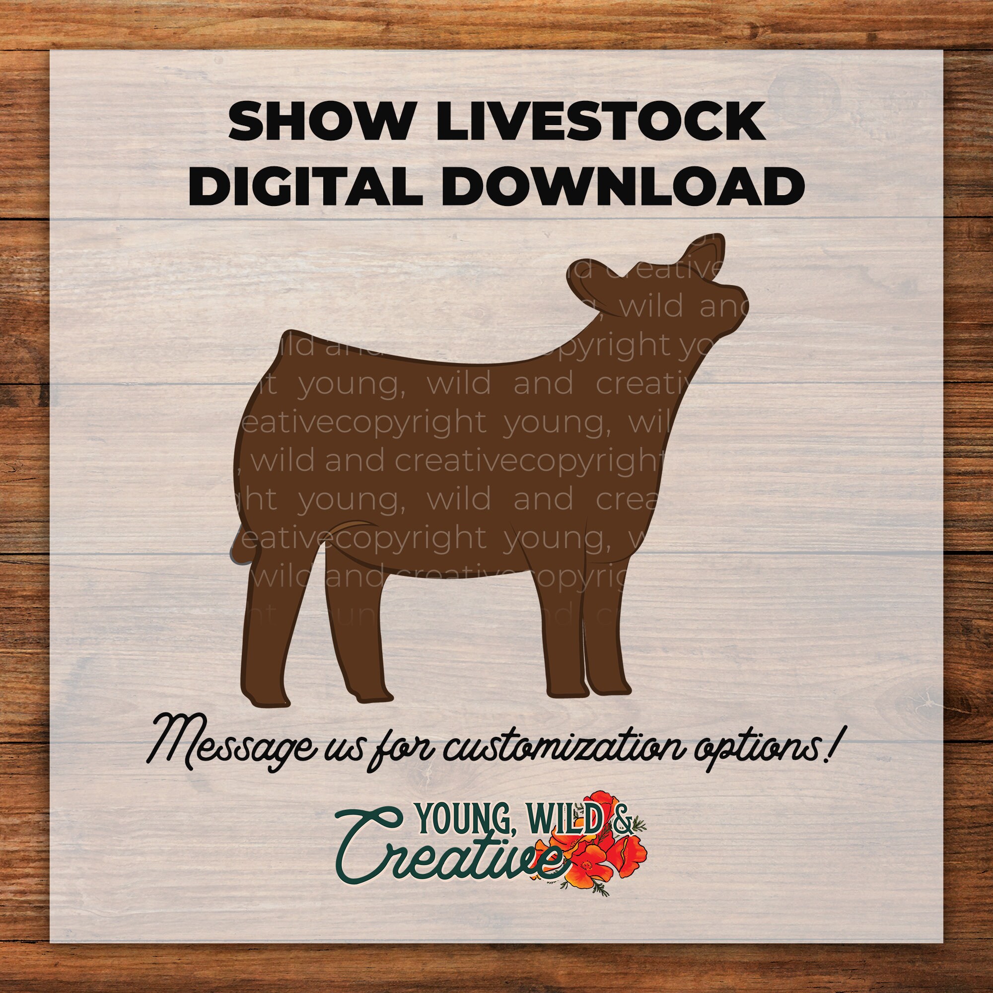 Red Angus Show Heifer Digital Download | Livestock Show Embroidery File ...