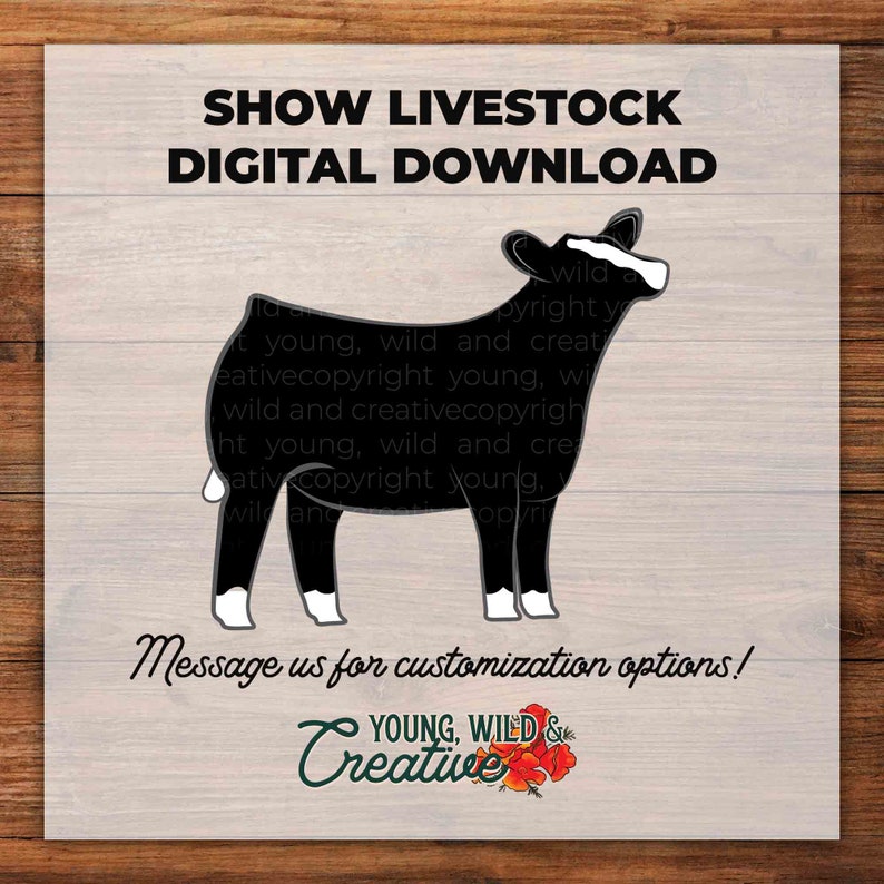Simmental Show Heifer Embroidery Design: Baldie Cattle (digital ...