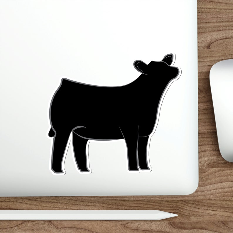 Angus Show Heifer Die-cut Sticker | Livestock Decal for Show Cattle ...