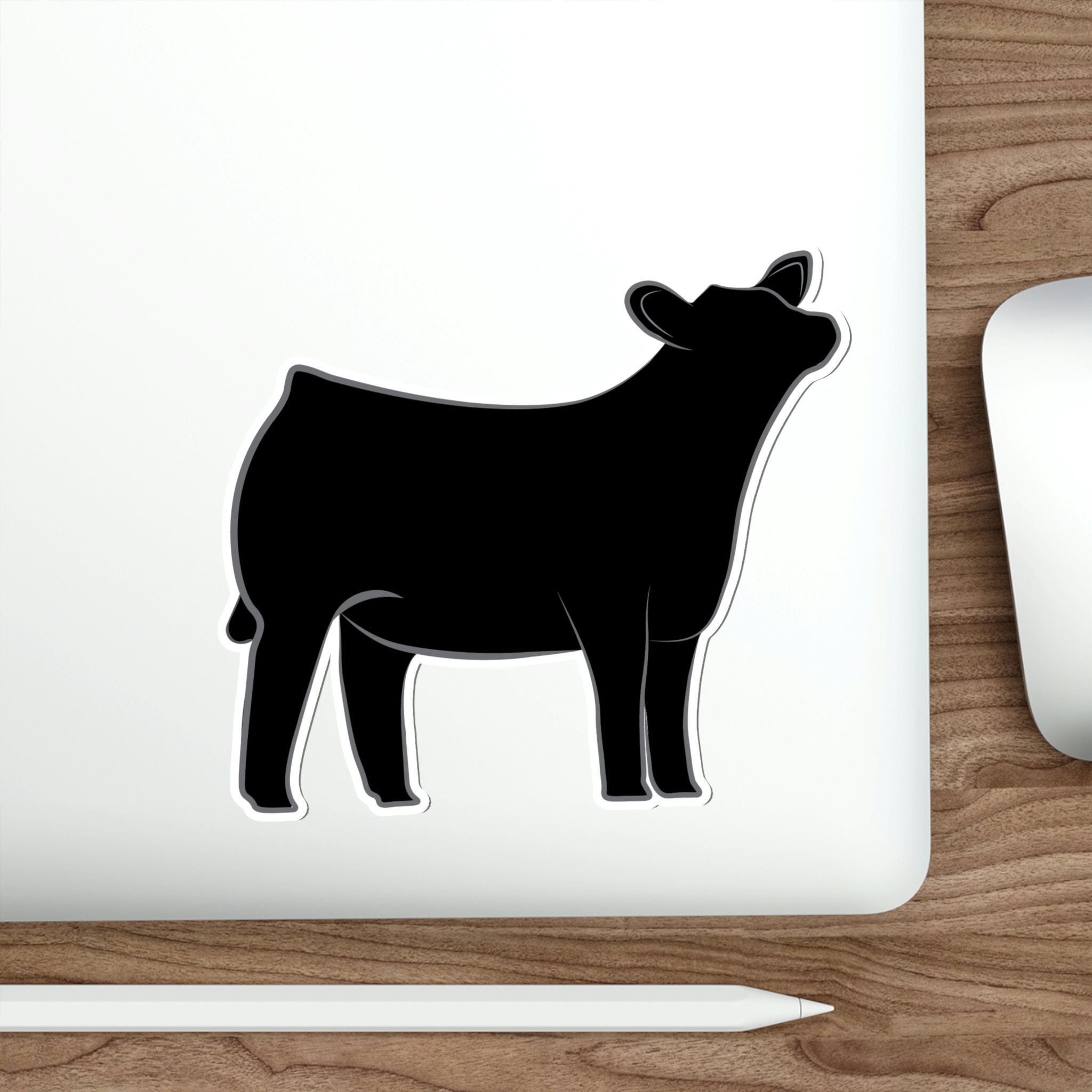 Angus Show Heifer Die-cut Sticker | Livestock Decal for Show Cattle ...