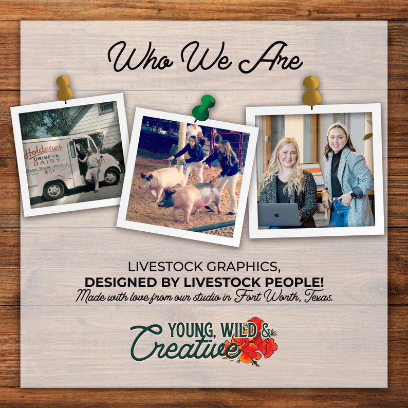 Show Lamb Embroidery File: Livestock Show Graphic (digital Download) - Etsy