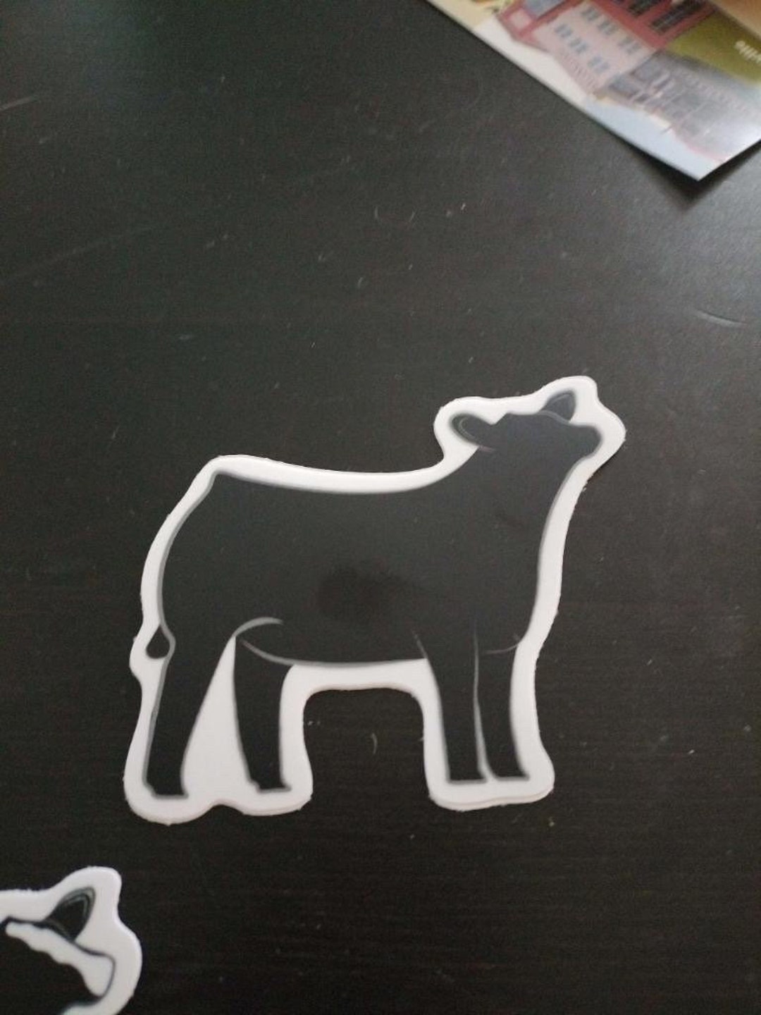 Angus Show Heifer Die-cut Sticker | Livestock Decal for Show Cattle ...