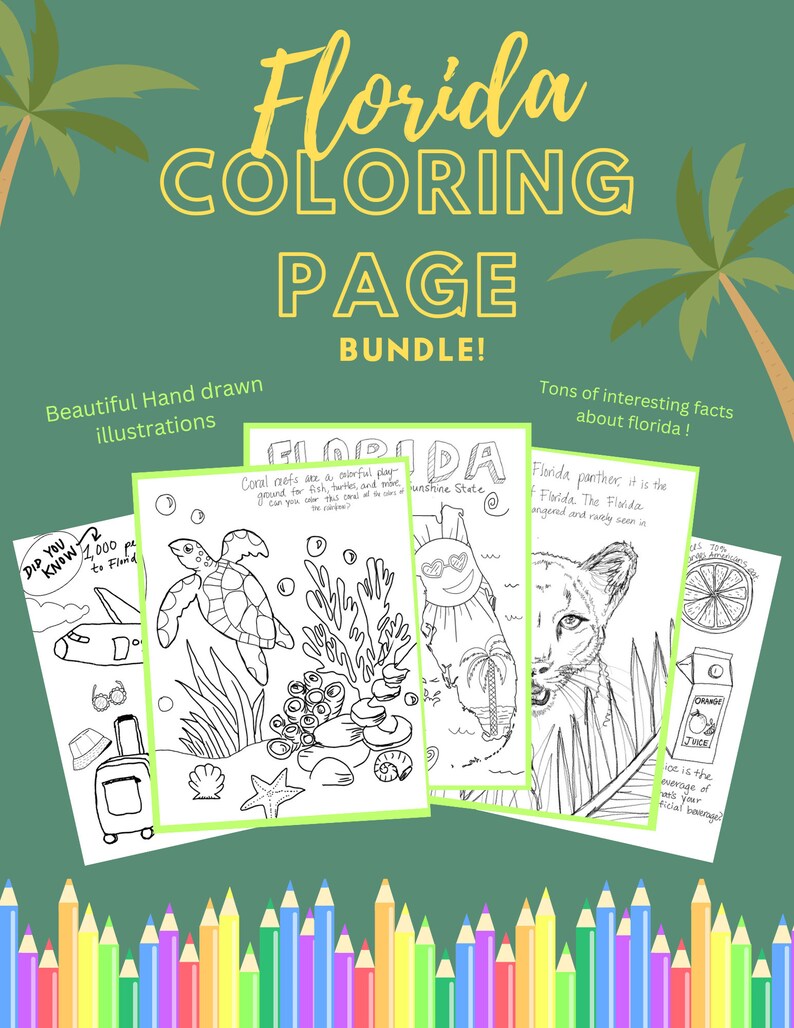 All About Florida Coloring Book - Etsy