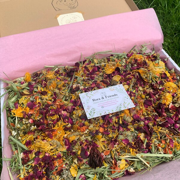 Hamster Forage Box - Etsy UK