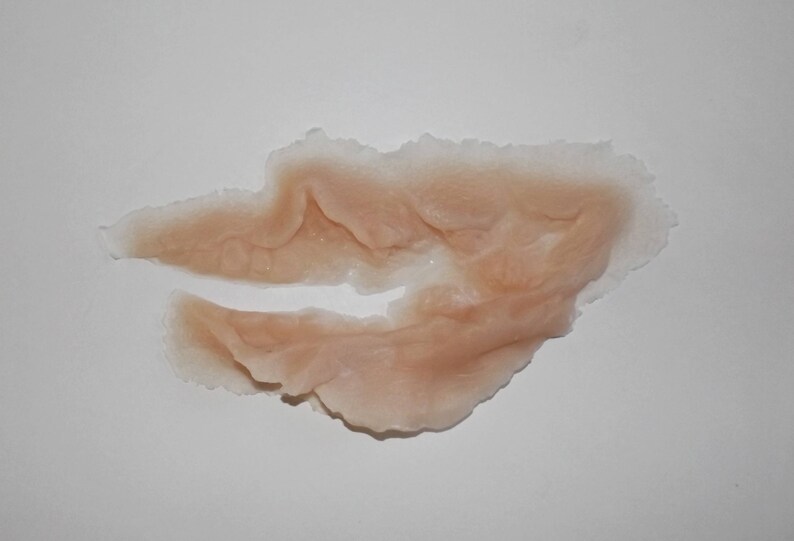 Ripped Zombie Mouth Halloween Prosthetic F02 - Etsy