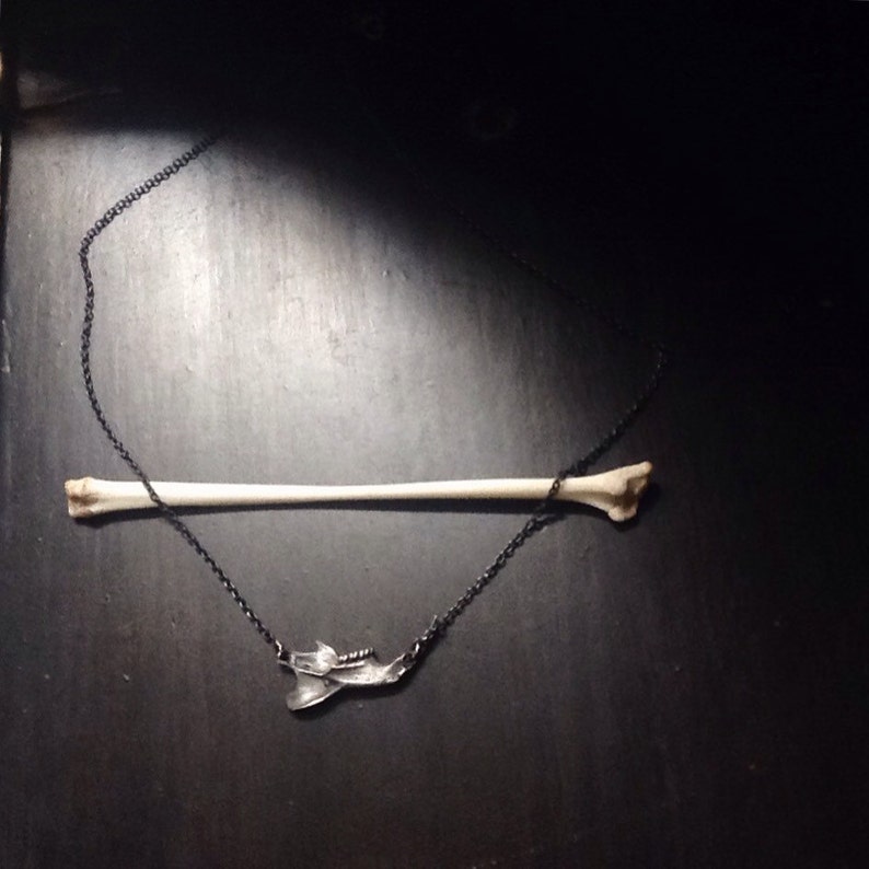 Rattus rattus mandible: rat jaw bone in sterling silver | Etsy
