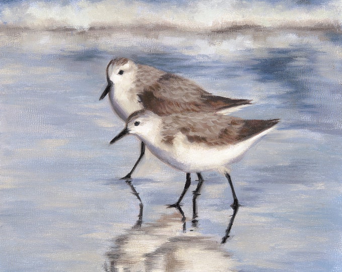 Sanderlings Sanderling Waterfowl Bird Painting bird Art Sandpipers ...