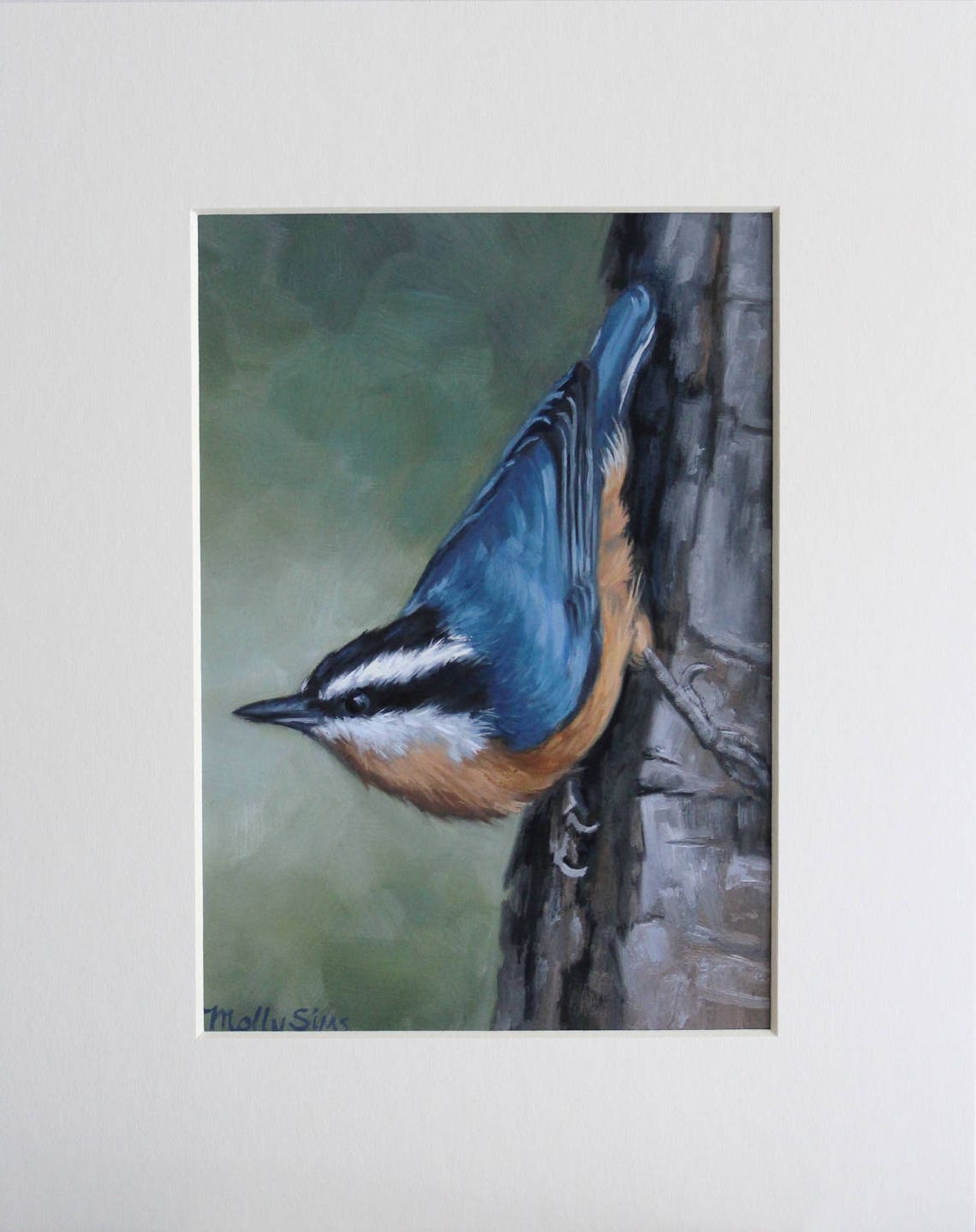 Red Breasted Nuthatch - Nuthatch - Bird Painting - Nuthatch Painting ...