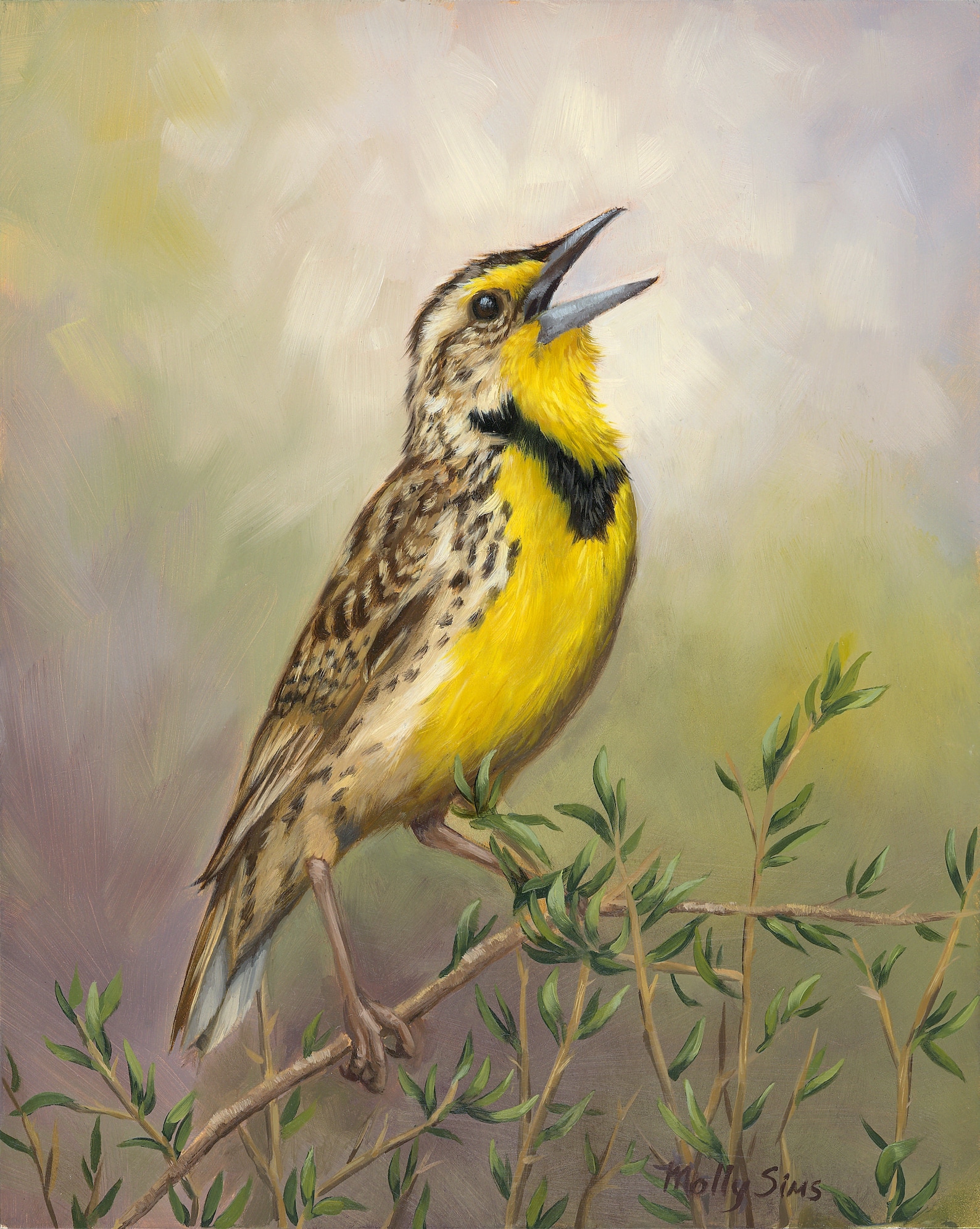 Meadowlark Painting - Bird Painting - Bird Art - Meadowlark - Yellow ...