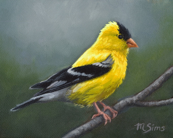 Goldfinch Art Print Bird Painting American Goldfinch - Etsy