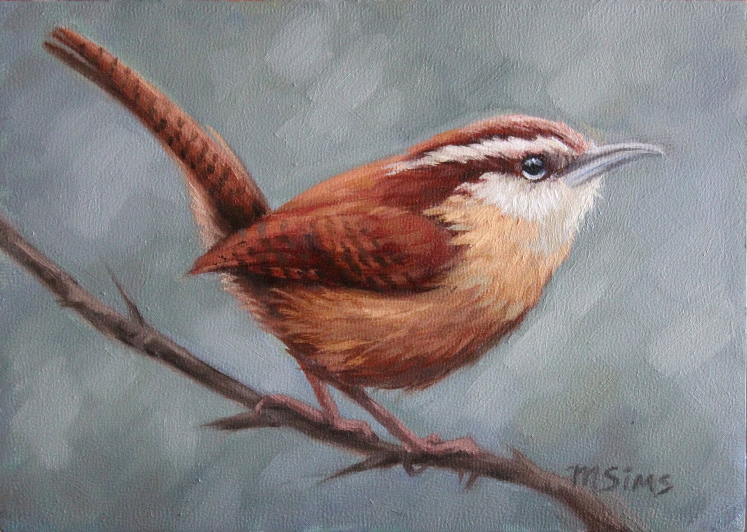 Carolina Wren Wren Bird Painting Wren Print Open | Etsy