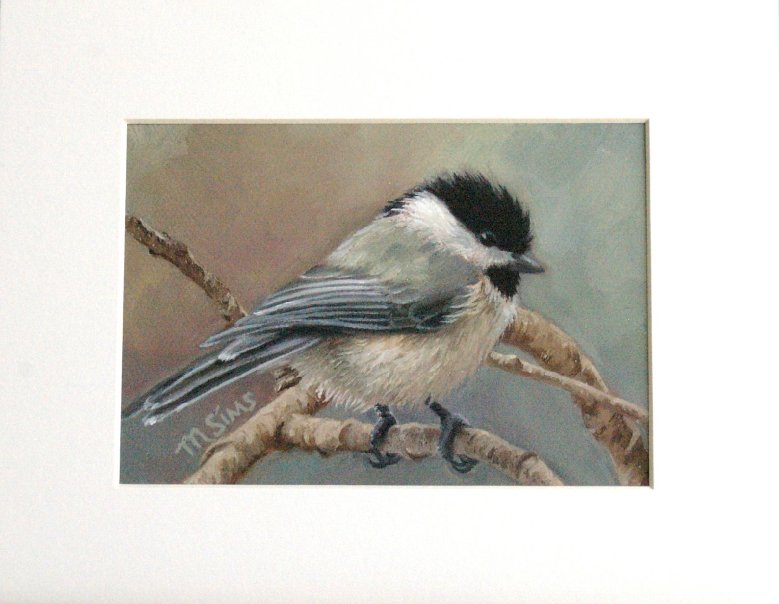Black Capped Chickadee Chickadee Art Bird Art Chickadee - Etsy