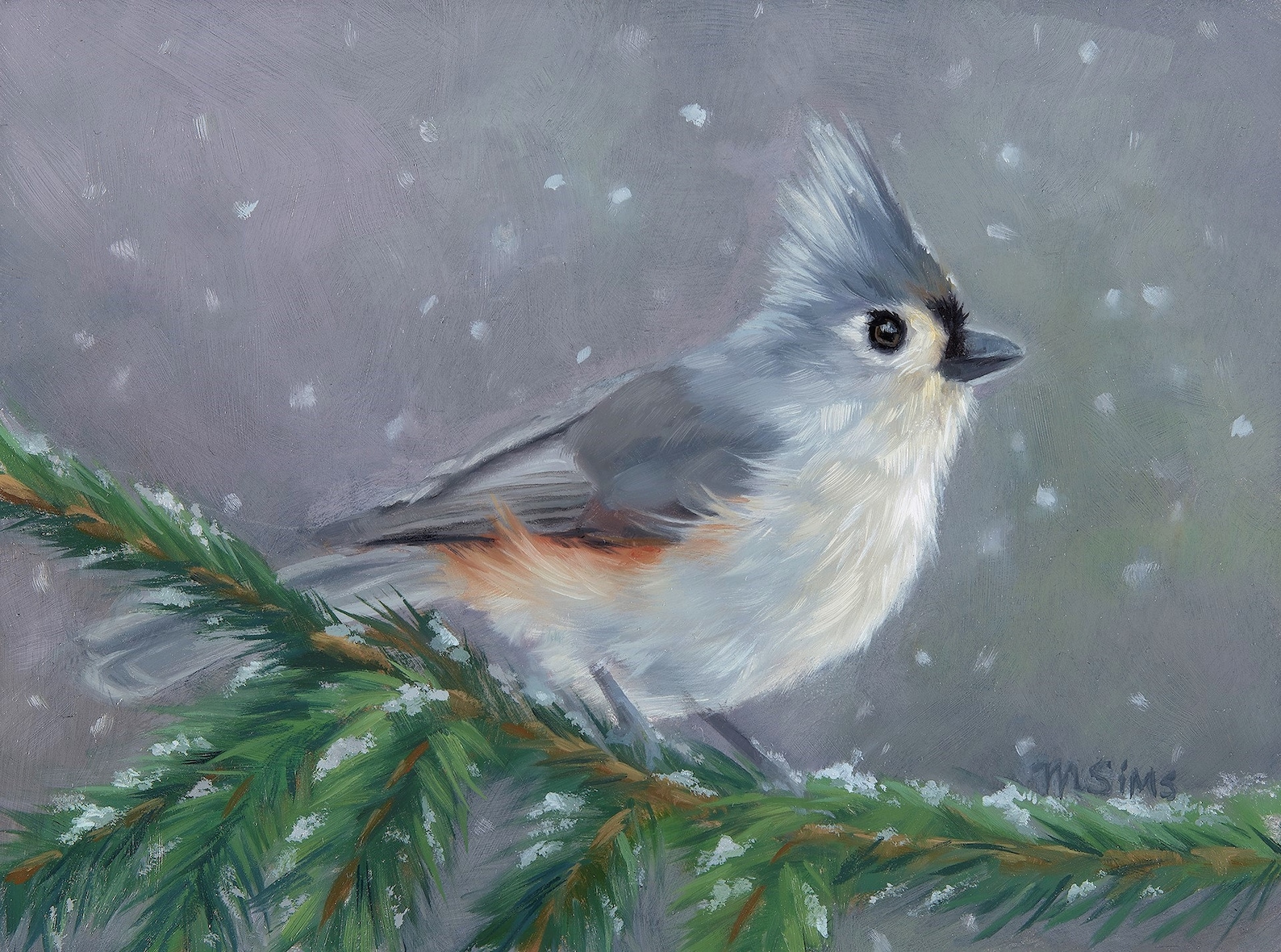 Titmouse - Titmouse Painting - Tufted Titmouse - Bird Art - Bird ...