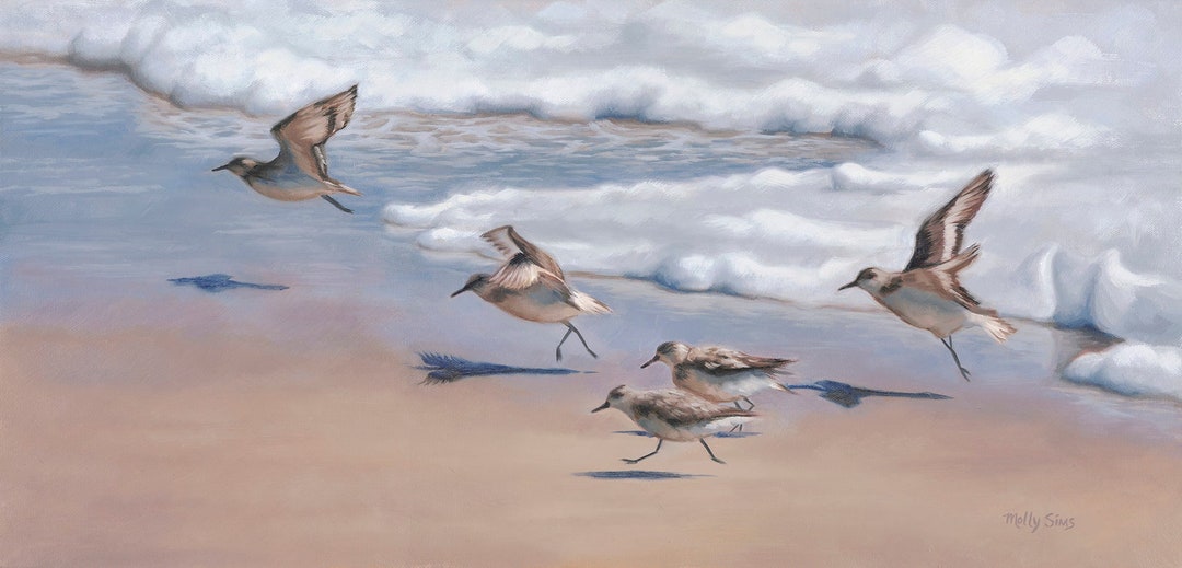 Speedy Retreat - Sanderlings - Bird Painting - Bird Print - Sanderling ...