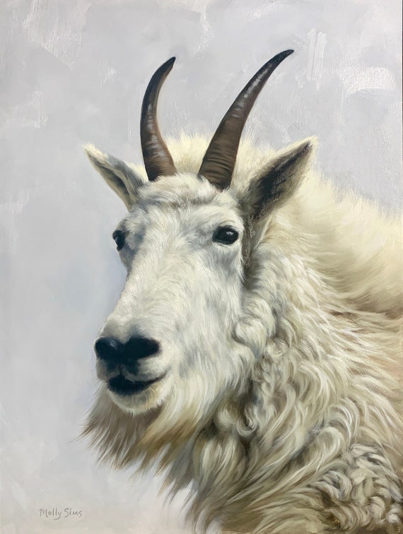 Mountain Goat Art