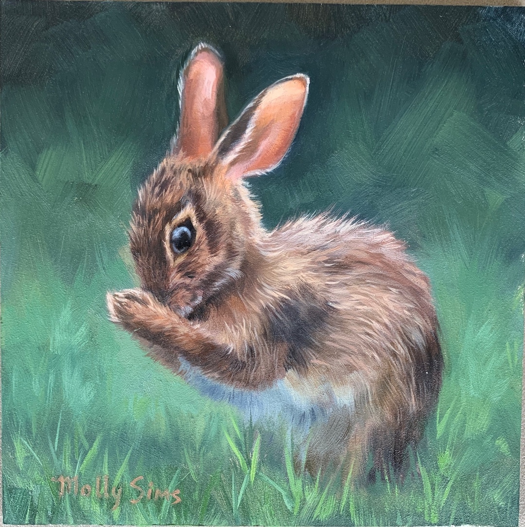 Rabbit - Rabbit Art - Rabbit Painting - Bunny Art - Realistic Rabbit ...