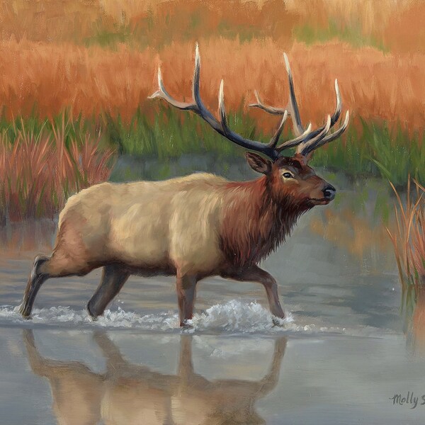 Elk Painting - Etsy