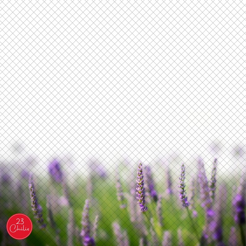 Lavender Bokeh Meadow Digital Background With Floral & Vignette ...
