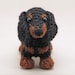 Crochet Pattern for Toki, Realistic Crochet Miniature Dachshund Dog ...