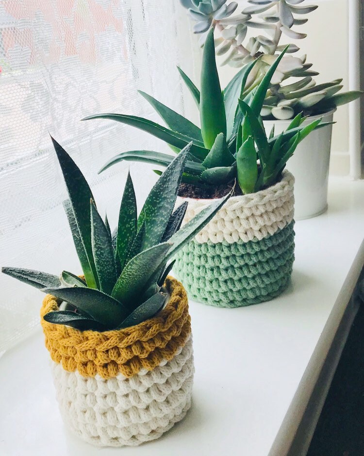Easy Crochet Pattern, Plant Pot Cosy, Instant Download, Pdf Tutorial - Etsy