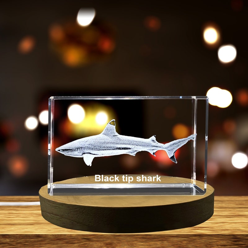 Shark Trophy - Etsy