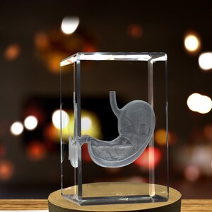 Stomach Art | 3D Engraved Crystal Keepsake | Unique Recognition Gift ...
