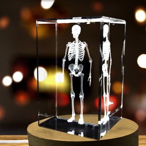 Human Skeleton 3D Engraved Crystal Novelty Decor - Etsy Canada
