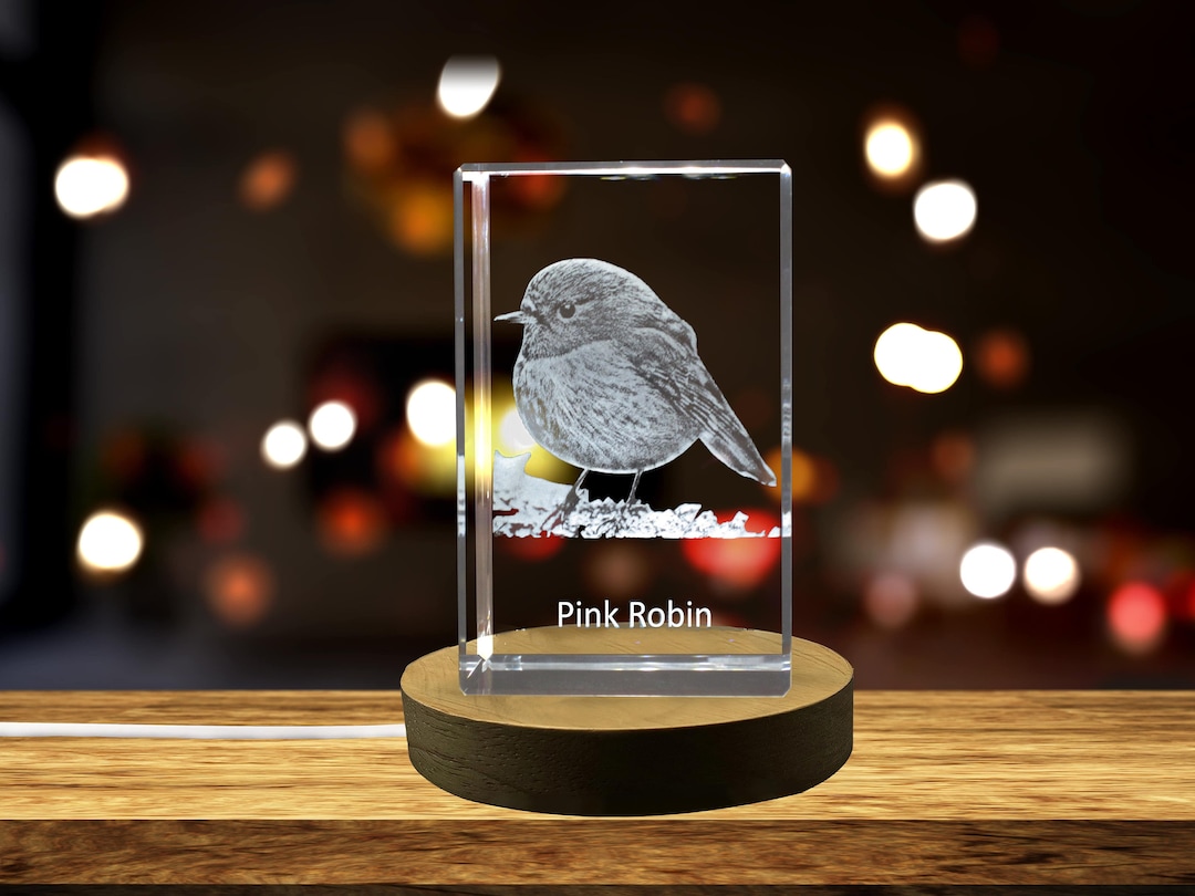 Pink Robin 3D Engraved Crystal 3D Engraved Crystal Keepsake/gift/decor ...