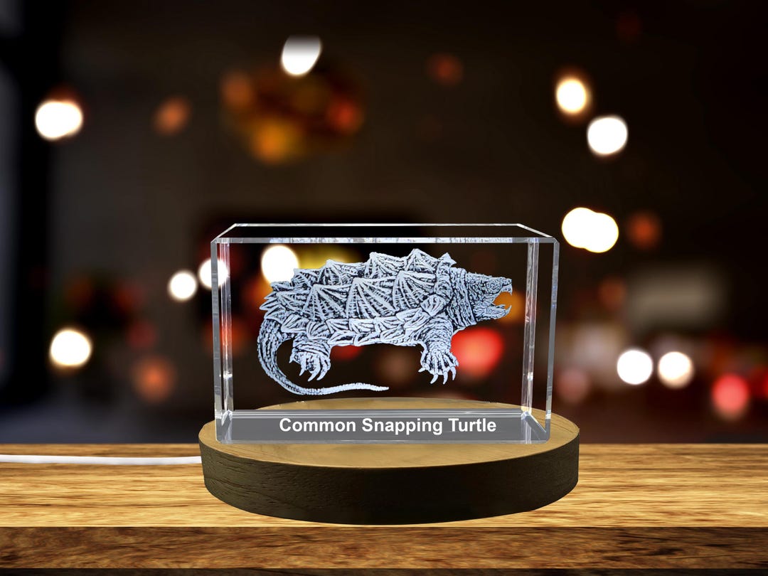 3D Engraved Crystal Snapping Turtle Figurine: Wildlife Home Decor, LED ...